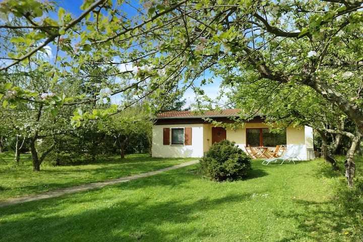 Harzer Feriengarten - Ferienhaus 8 - Quedlinburg