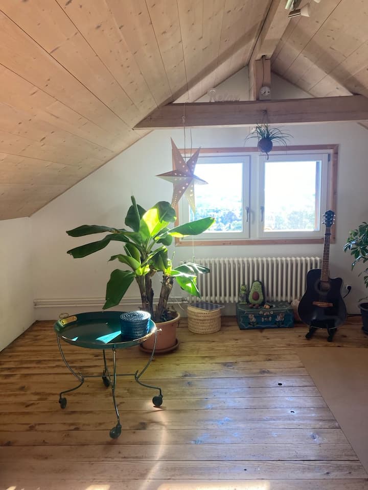 Room In Chalet With Good View - Chur