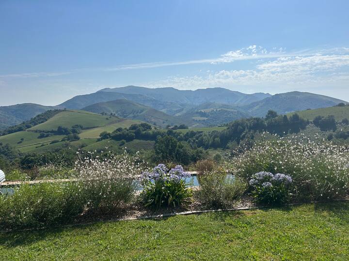 Maison En Pleine Nature Avec Piscine Et Trinquet - Bidarray