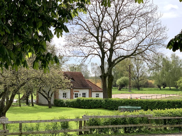Backhaus - Teterow