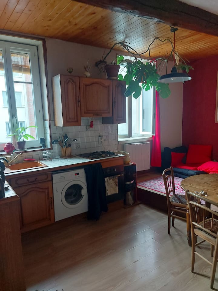 Jolie Appartement Croix Rousse - Lyon
