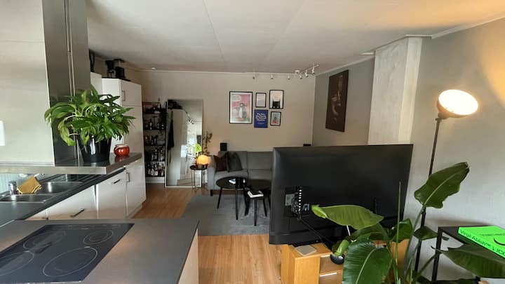 Koselig Leilighet I Oslo - Oslo