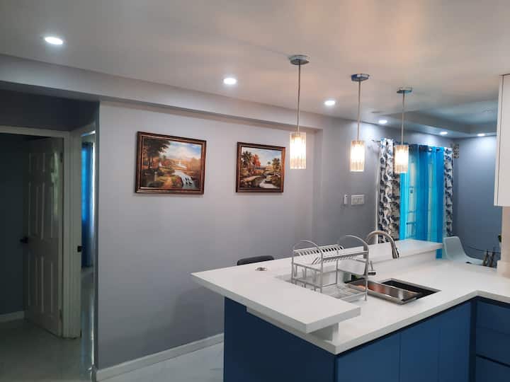 Central & Comfy Two Bedrm Apt In Kingston - Kingston