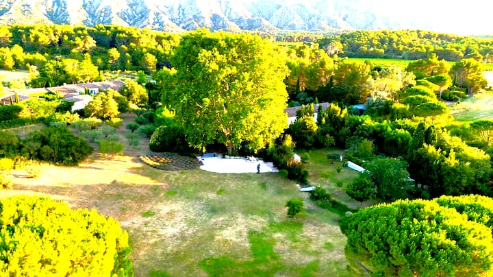 Sublime Mas Provençal Calme Et Ensoleillé, Piscine - Maussane-les-Alpilles