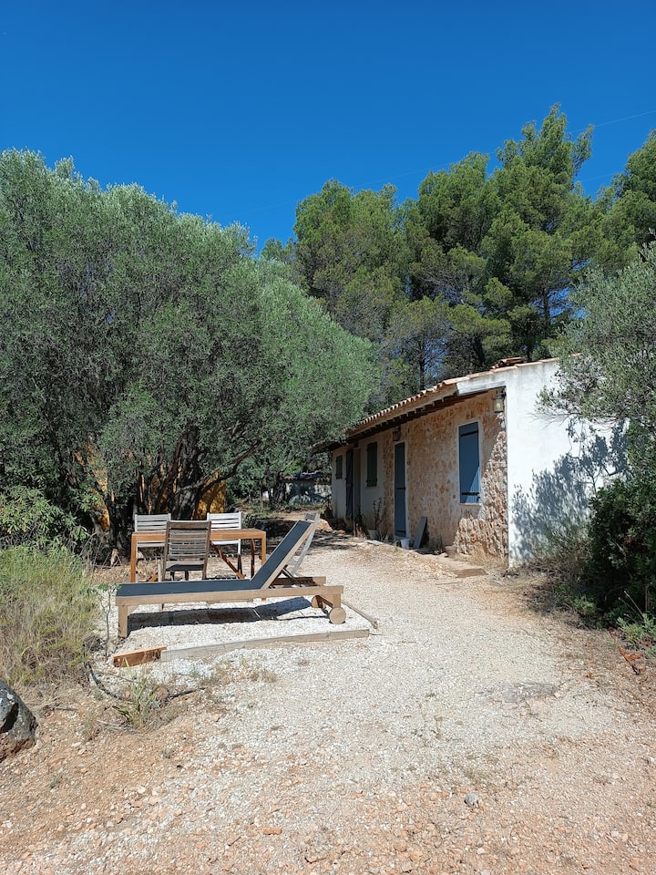 Cabanon Provençal / Maisonnette - Var