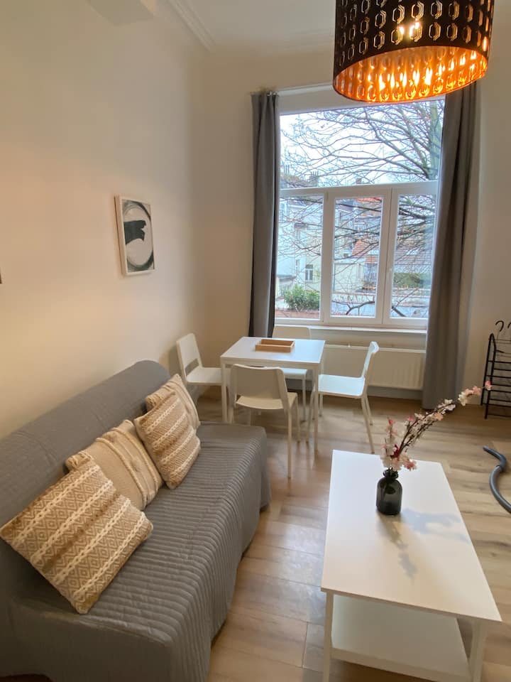 Renovated Apartment Next To The Centrum 1st Floor - Jette