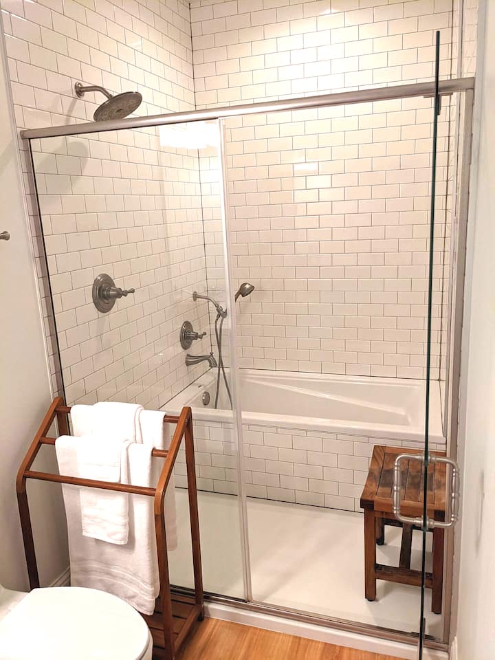 New Luxurious Spa Studio Apartment | Sleeps 8 - Renton, WA