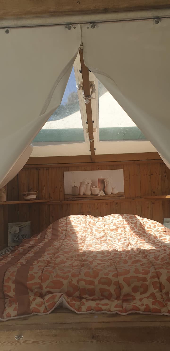 Gîte En Bois Proche Du Zoo De La Palmyre , Plages - Ronce-les-Bains