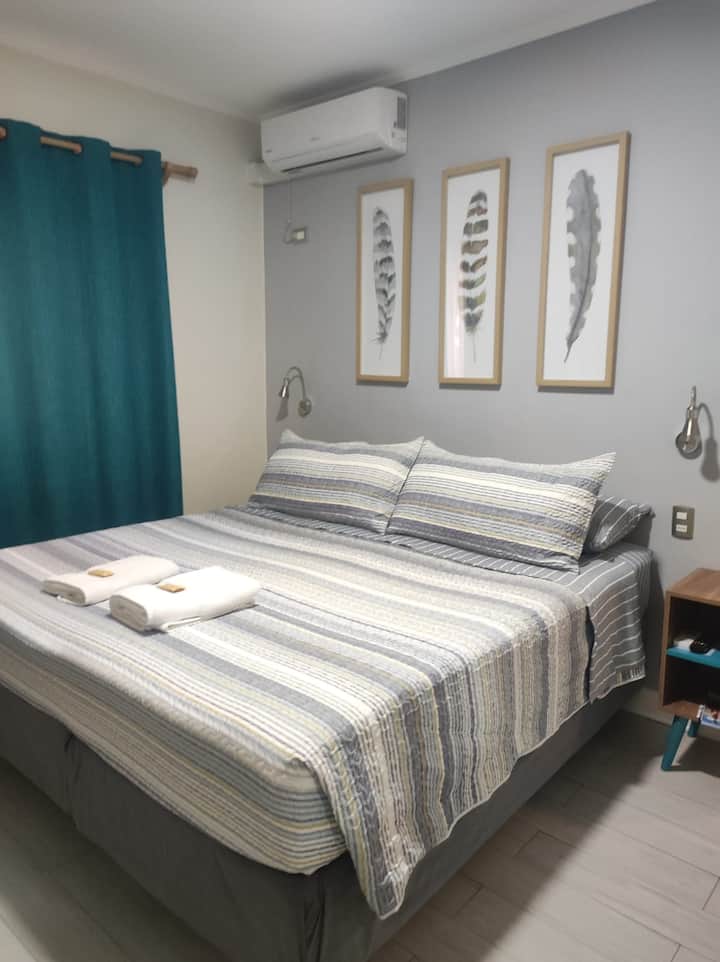 Lovely & Chic Studio In Great Location - Santiago, Chile