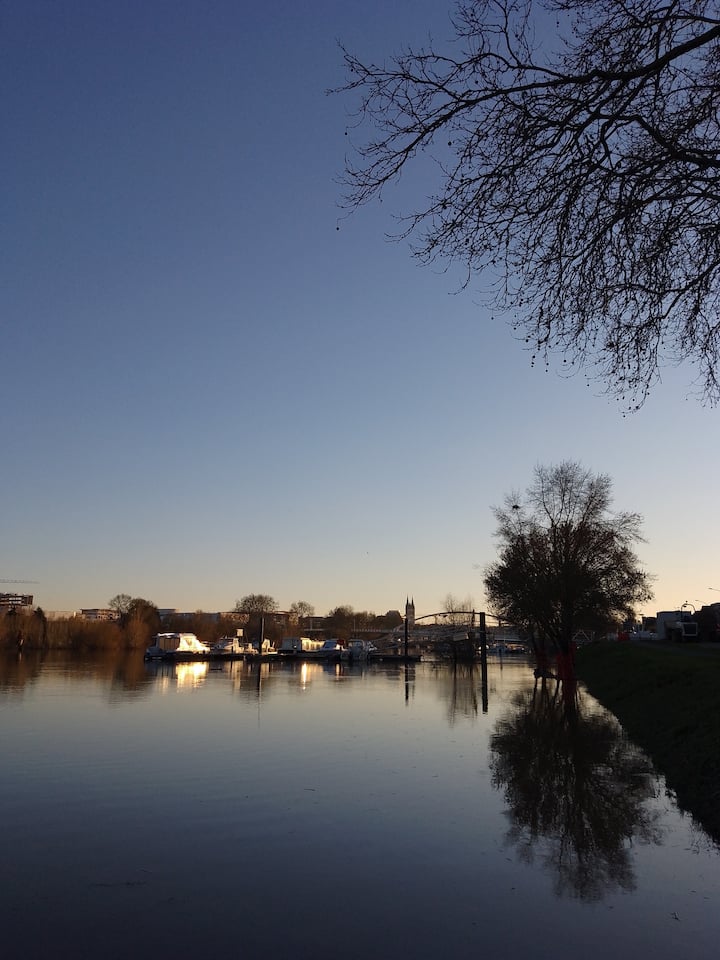 Appartement Lumineux De 31m² En Bord De Maine - Angers