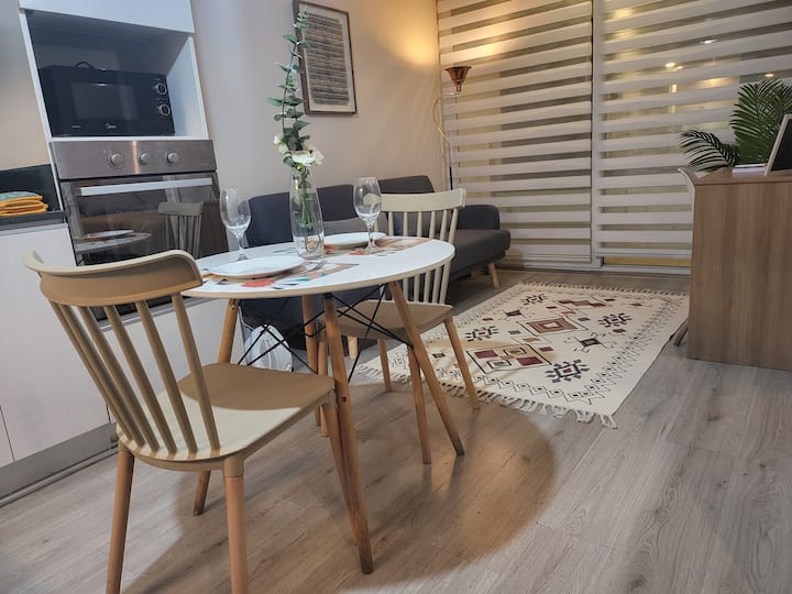 Lindo Depto 1d Con Estacionamiento - Santiago (Chile)