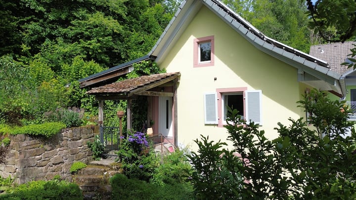 Kl.häuschen - Gemütliche 2 Zi-whng. - Schopfheim