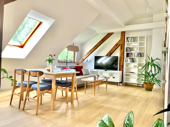 Attic Flat Near Wilson Park - Poznań