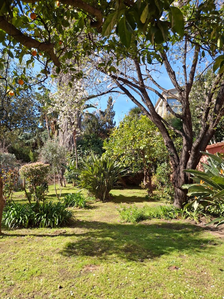 Un Jardin En Pleine  Ville - Ajaccio