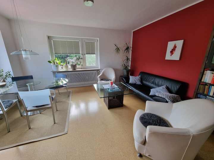 Wunderschöne Geräumige Wohnung In Kassel - Kassel