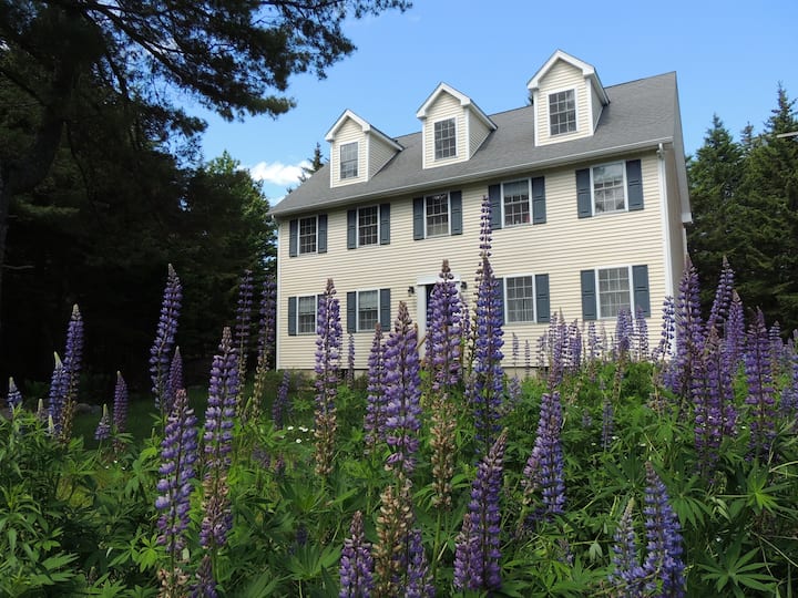 2b Home Sleeps 5, Borders Park; Near Attractions! - Bar Harbor, ME