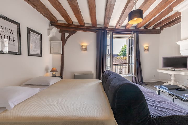 Studio Zoo Beauval - Saint-Aignan-sur-Cher