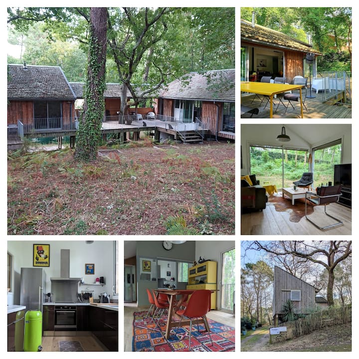 Maison D'architecte En Bois S/ Pilotis (Golf) - Biscarrosse