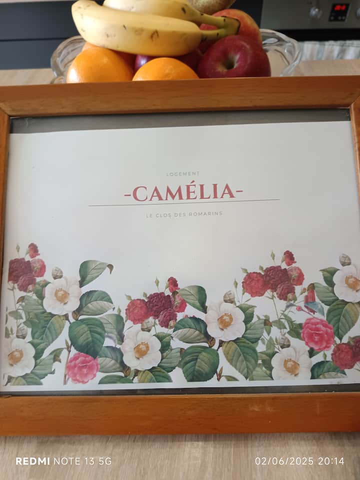 Le Clos Des Romarins
Gites Pour 6 Pers
"Camélia" - Lot
