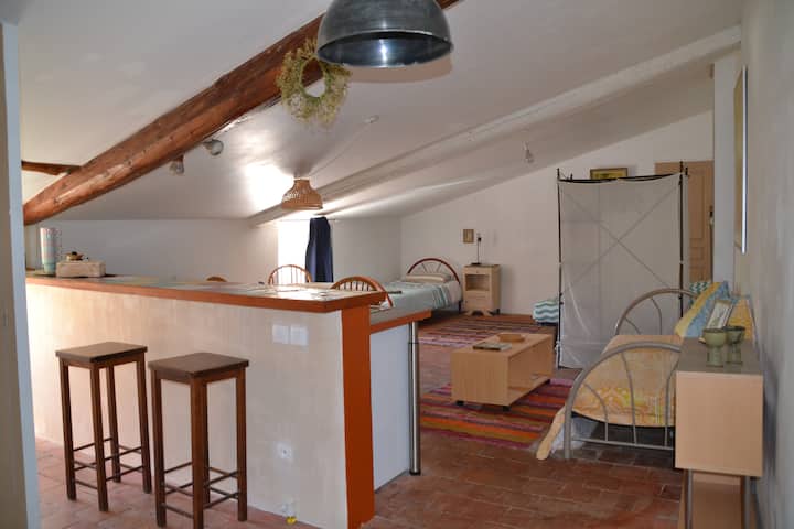 La Saint-jacques - Lodève