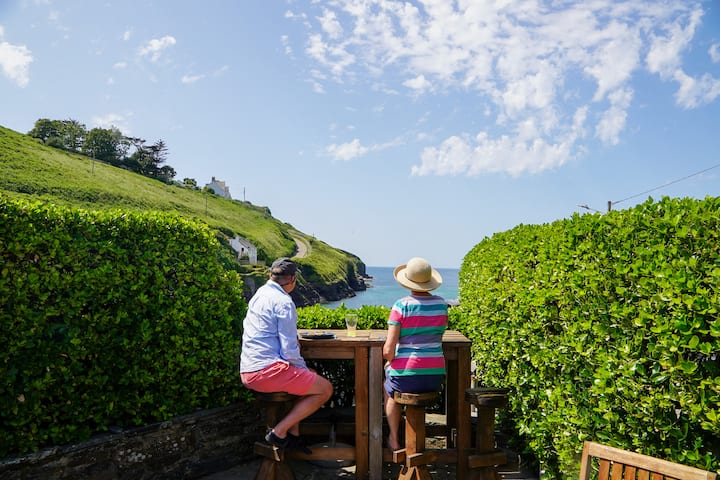 Dog Friendly Cottage, Port Gaverne, Port Isaac - Port Isaac