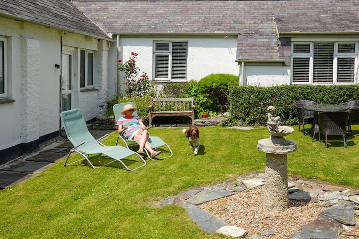 Characterful Dog Friendly Cottage Near Port Isaac - Port Isaac