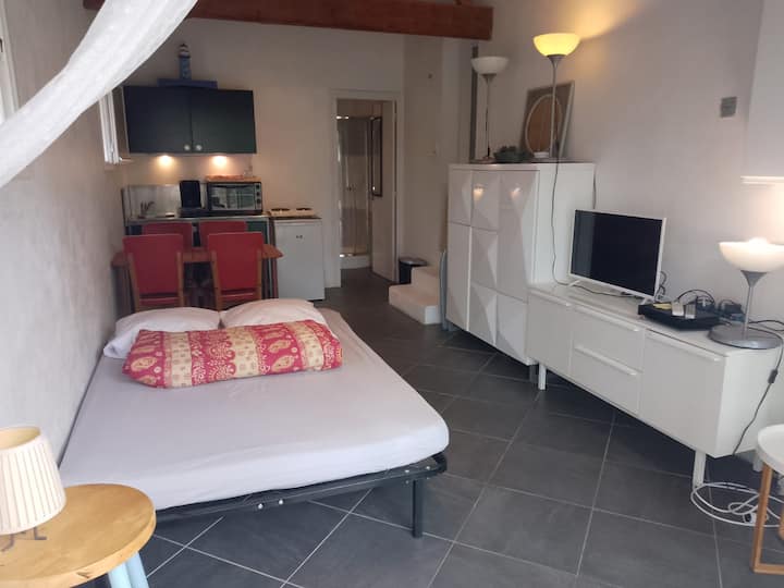 Studio Sud Landes Jardin, Wifi, Océan à 300 M - Soorts-Hossegor