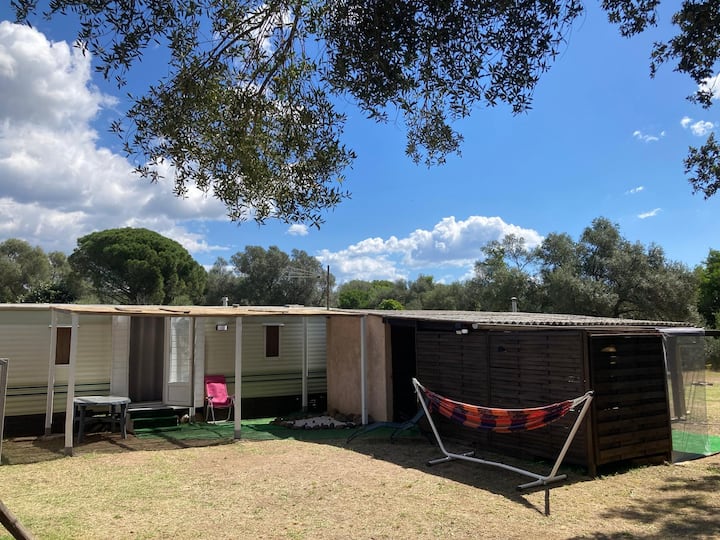 Terrain De Loisir Avec Mobilhome - Porto-Vecchio