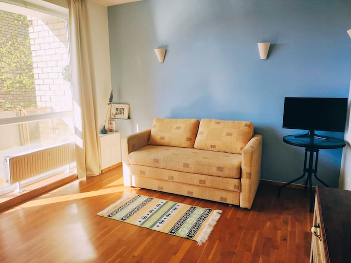 Cosy Home Near The Forest Close To Center - Vilnius