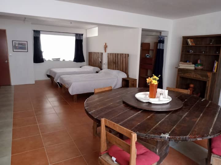 Disfruta Loft Cómodo, Privado, Céntrico, Smart Tv - San Luis Potosí