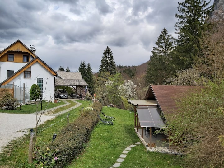 Ingreen House With Pool - Bled