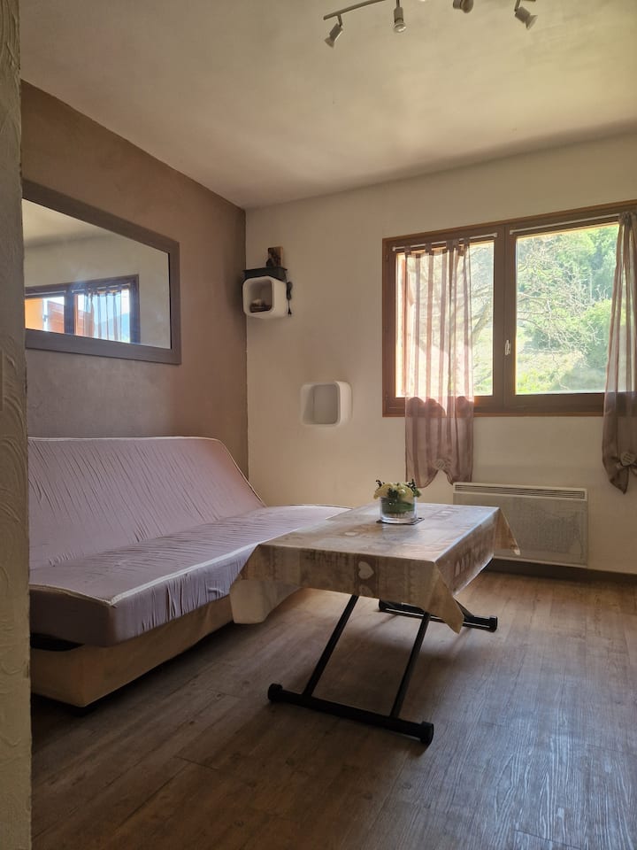 Appartement T1 Saint Martin Vesubie - Saint-Martin-Vésubie