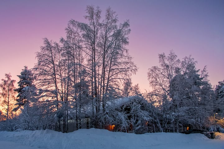 Whole House + Sauna (Animals Welcome!) - Rovaniemi