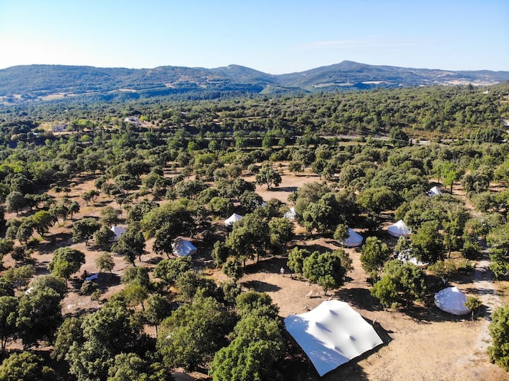 Lodge Venus 1/2 Pers Dans Le Luberon - Forcalquier