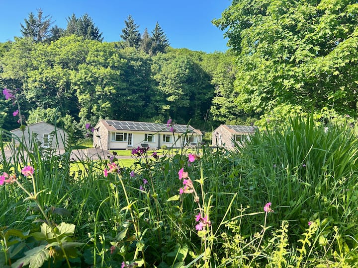 Dog Friendly, Minutes From Coast - Sleeps 4 - Croyde