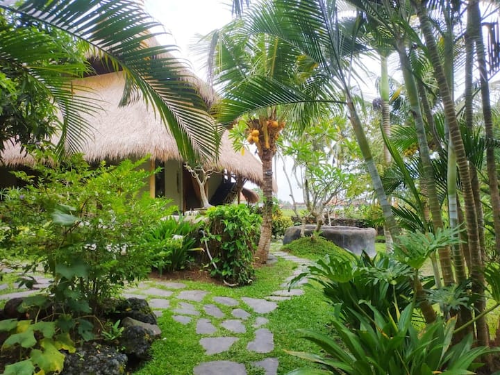 Villa 3br , Swimming Pool, Big Garden. - Denpasar