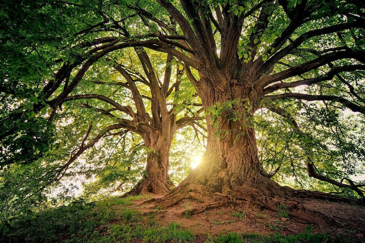 Berlin Wannsee Landgut - Potsdam