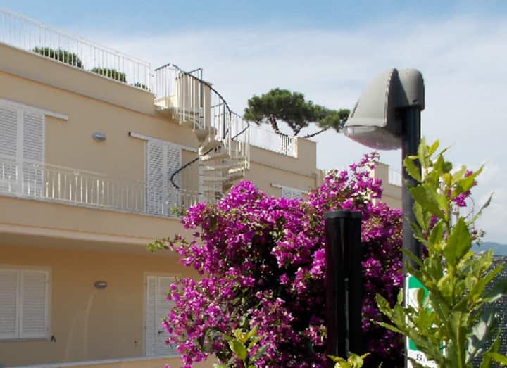 Marina Di Massa Intero Appartamento Al Mare - Massa