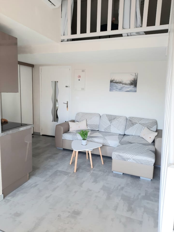 Appartement T2 Climatisé  2 Mn. Plage Et Commerces - Agde