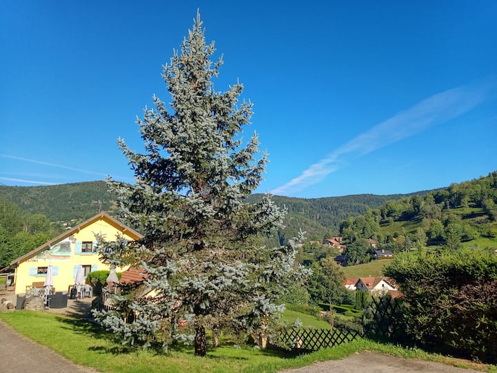 Chambre D'hôtes Les Sapins à Bussang - Bussang