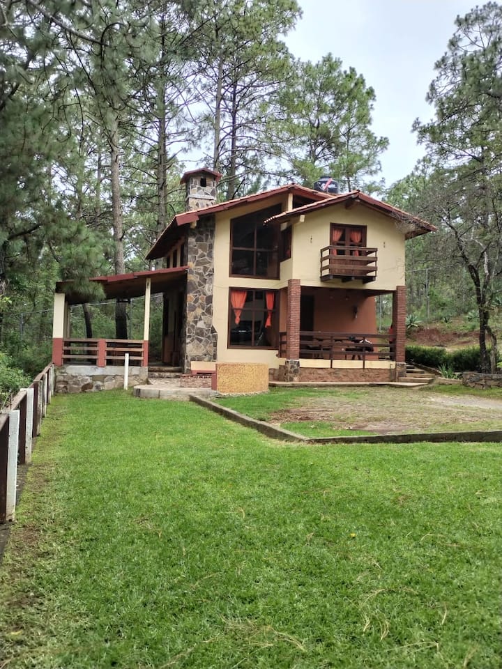 Cabañas El Aliso, Un Encuentro Con La Naturaleza. - Mexico