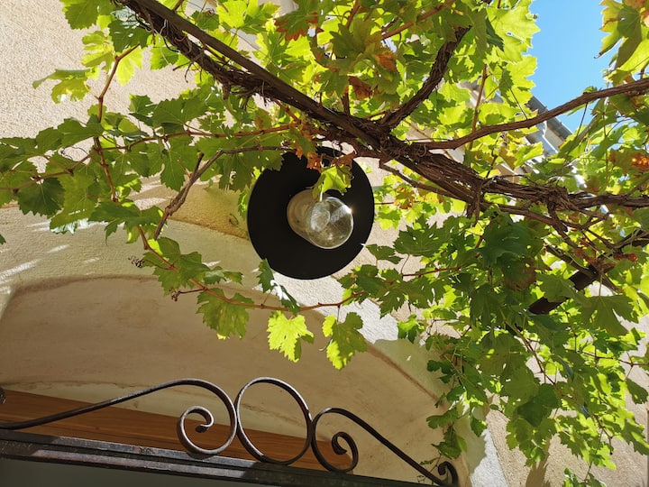 Maison De Village 3 *** Terrasse + Garage - Moustiers-Sainte-Marie