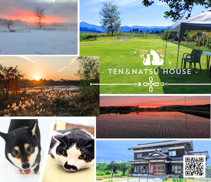 ペットと泊まれて遊べる民泊&ドッグラン 天と夏の家 -Ten&natsu House- - 長岡市