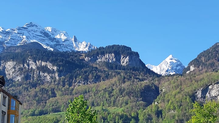 Ferienwohnung Meiringen "Engelhorn" - Hasliberg