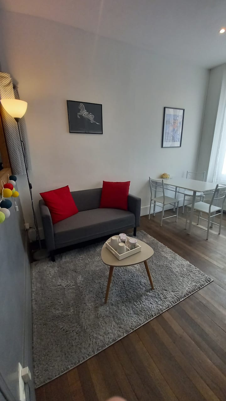 Très Bel Appartement (40 M2) Proche Centre-ville - Saumur