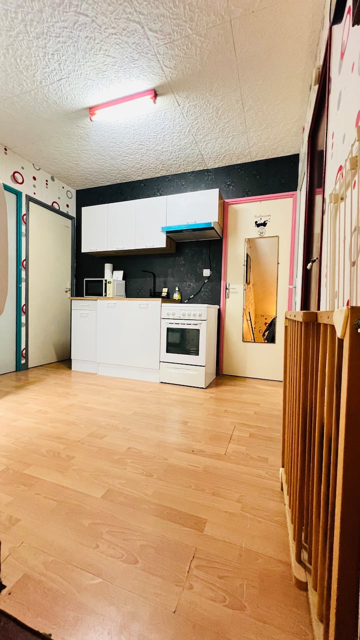 Chambre Chez L'habitant Proche Centre Ville - Orléans