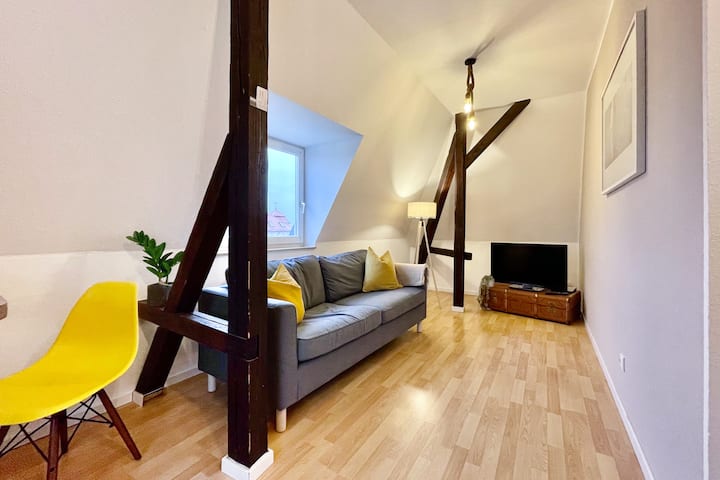 Schicke Dachgeschosswohnung Vis á Vis Zum Elbepark - Dresden