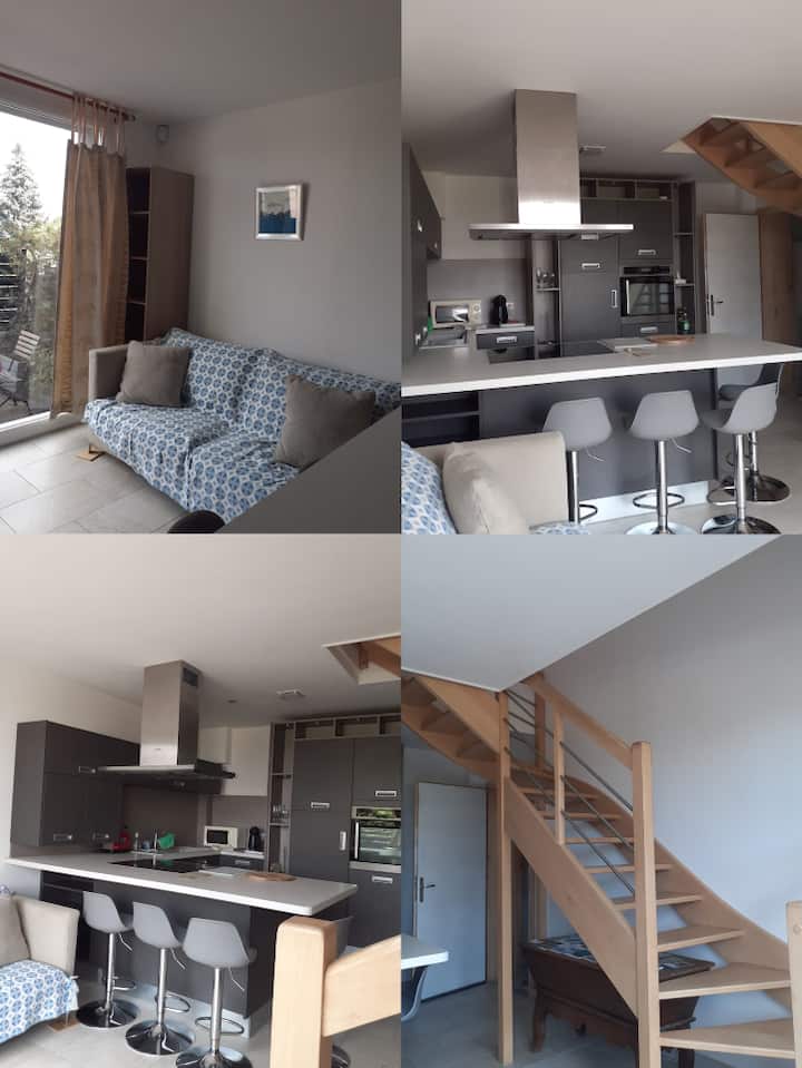 2 Chambre Duplex Excenevex - Plage 2 Min - Yvoire