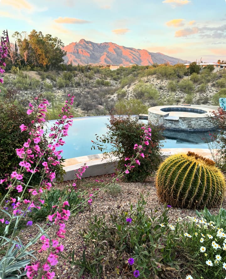 Catalina Foothills Deluxe Guest Suite - ツーソン, AZ