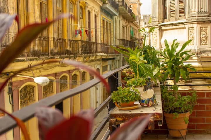 Balcones Tamayo 1:  Vive La Experiencia Habanera - Havana
